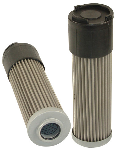 Uprawa dyni: Kompleksowy przewodnik dla rolników | tuagro.pl